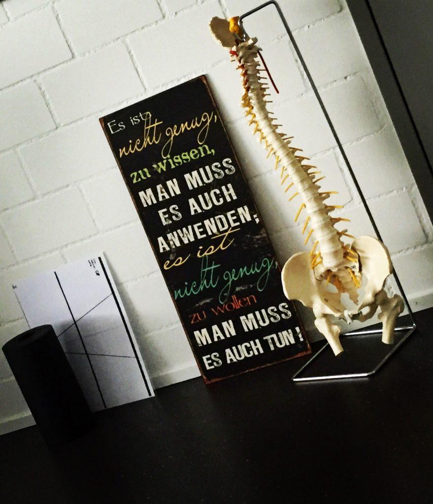 FASZIENDISTORSIONSMODELL KURZ ERKLÄRT 6 Distorsionen - PHYSIOTHERAPIE ...